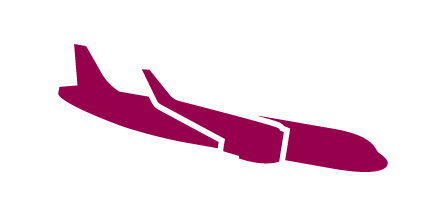 MNA : : : flight status