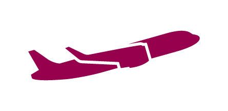 MNA : : : flight status